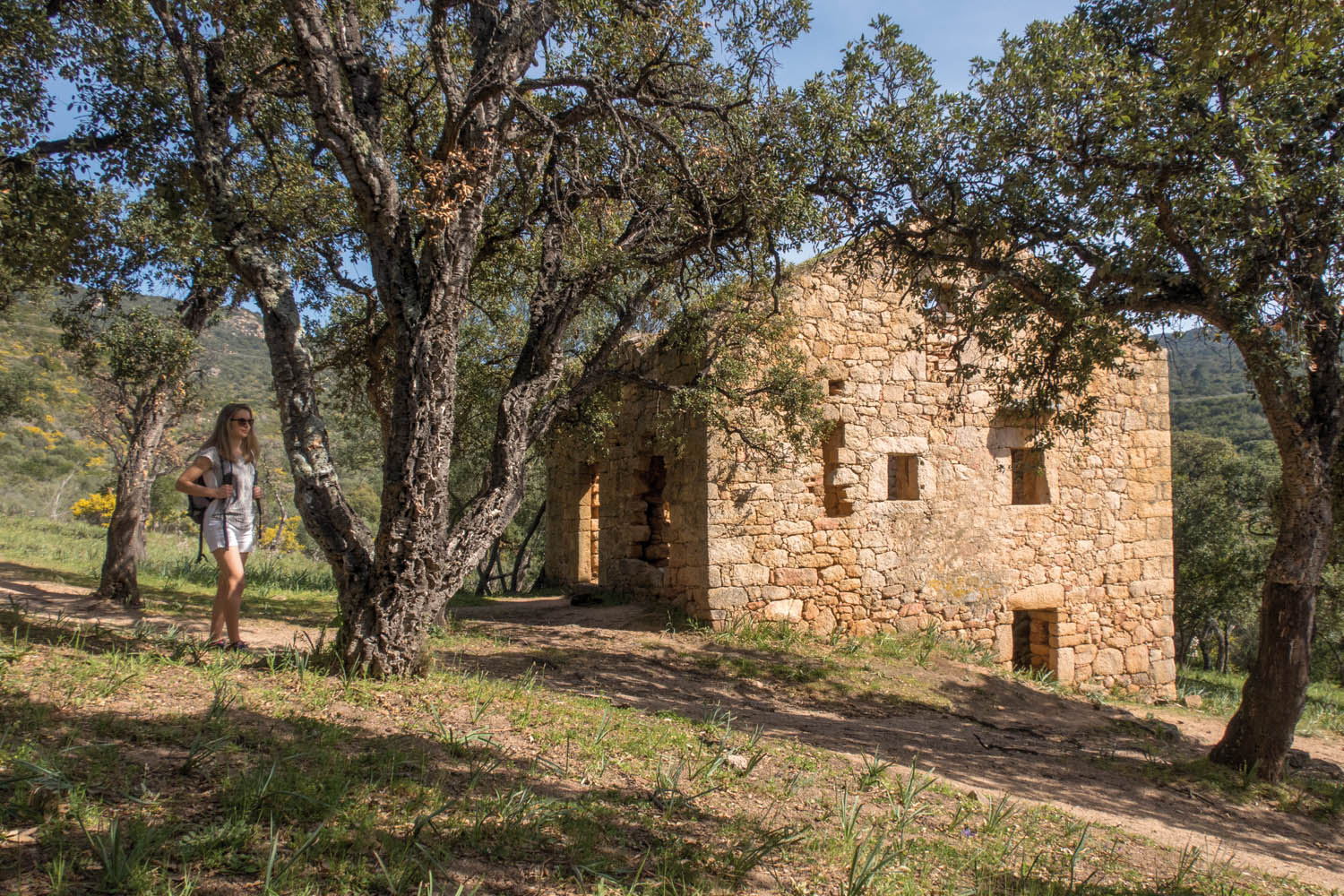 Balade du chemin de Fica - Porticcio Office de tourisme